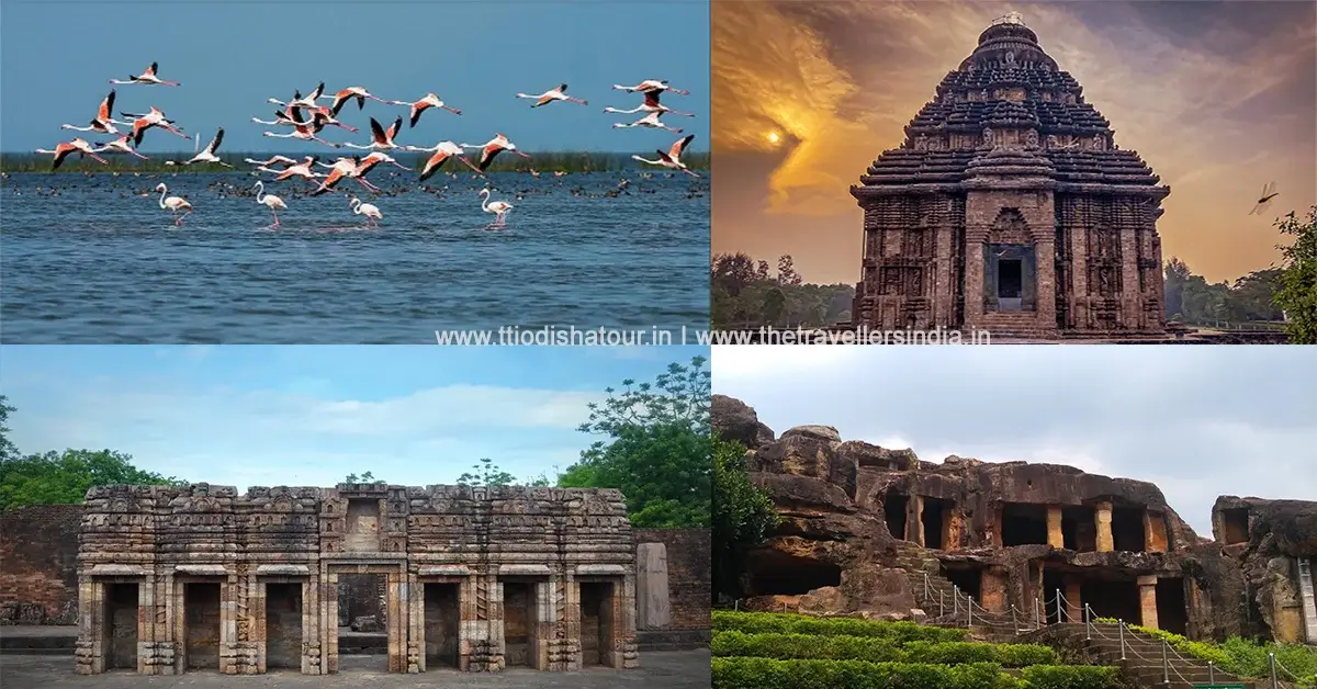 Explore the Best Places to Visit in Odisha I Top Attractions